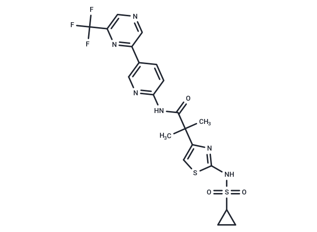 Ctp Synthetase In 1 Targetmol