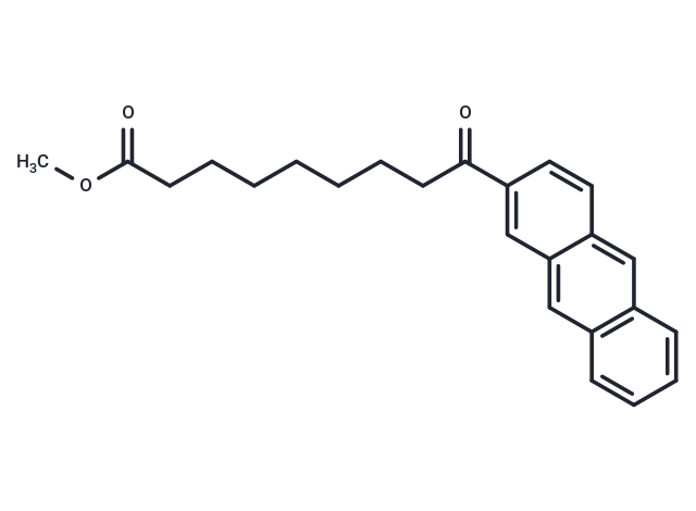 Methyl-8-(2-anthroyl)octanoate | TargetMol