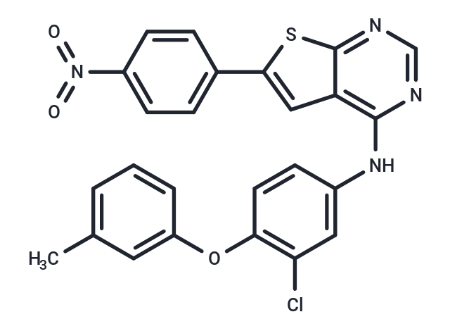 EGFR/HER2-IN-12 | TargetMol