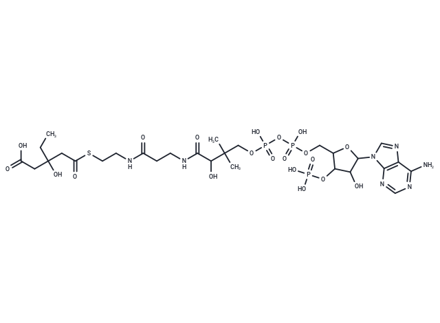 S-(Hydrogen3-ethyl-3-hydroxypentanedioate)-CoA_TargetMol