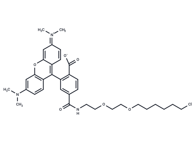 Halo tag TMR_TargetMol